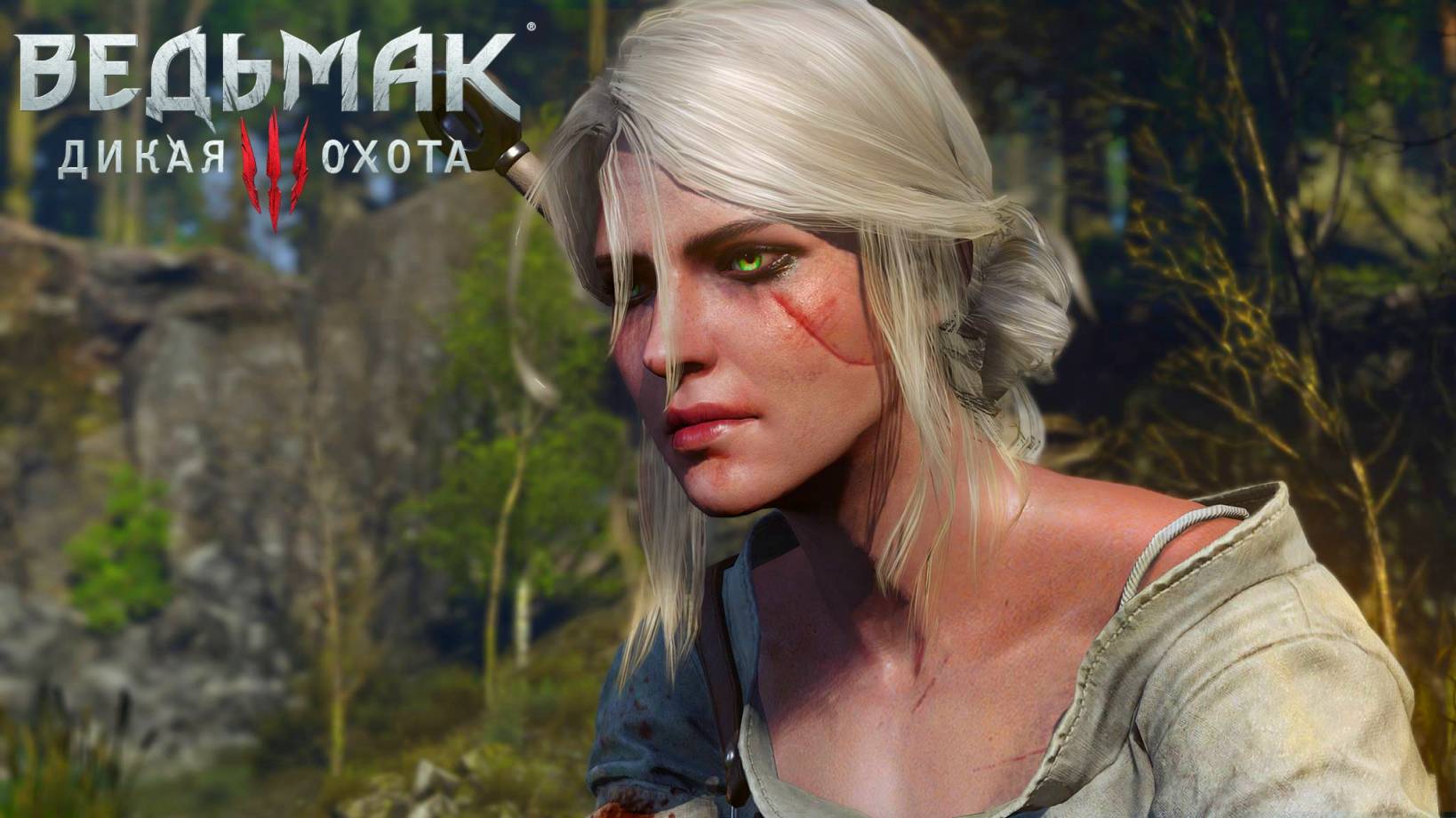 The Witcher 3 Wild Hunt ВОТЕТА ПОВОРОТ # 6