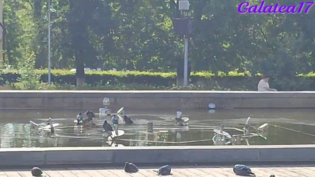 СПА САЛОН В ЦЕНТРЕ ГОРОДА