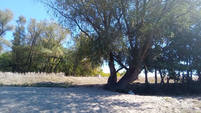 Терешка у села Медяниково, 14.09.2025)