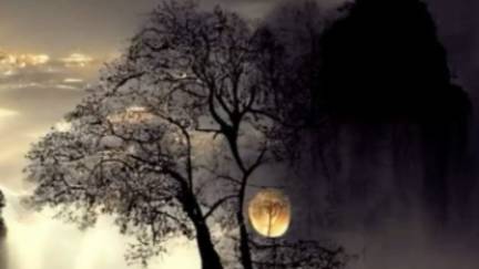 Желаю Добрых Снов Открыток 🌙⭐