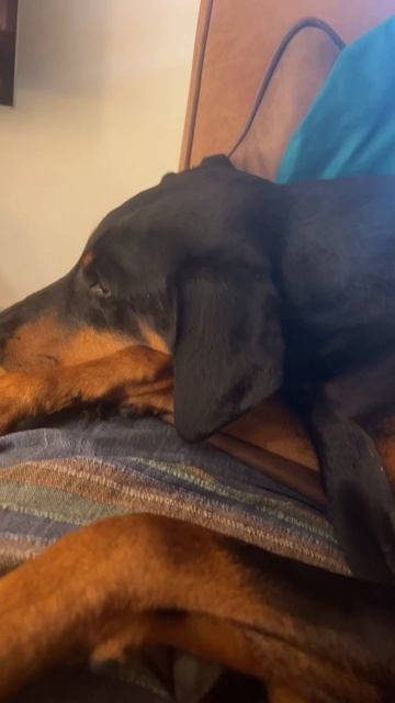 Они такие, как Вы к ним относитесь! #этиженщины #женщинытакие #женщиныонитакие #женщинытакиеженщины