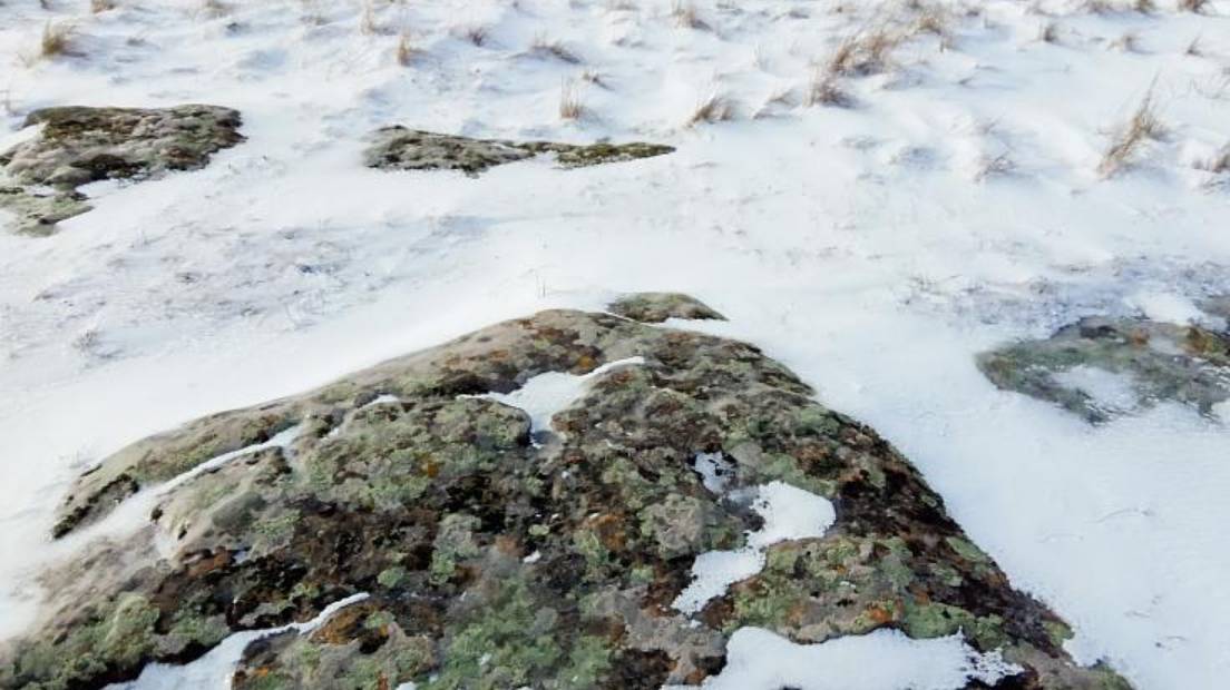 Марина Урусова. Суровикинские камни