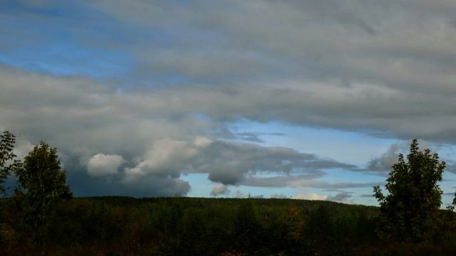 Горят татарские клёны. Прогулка по б-ру, Притомскому,  у оз. Красного. Кемерово