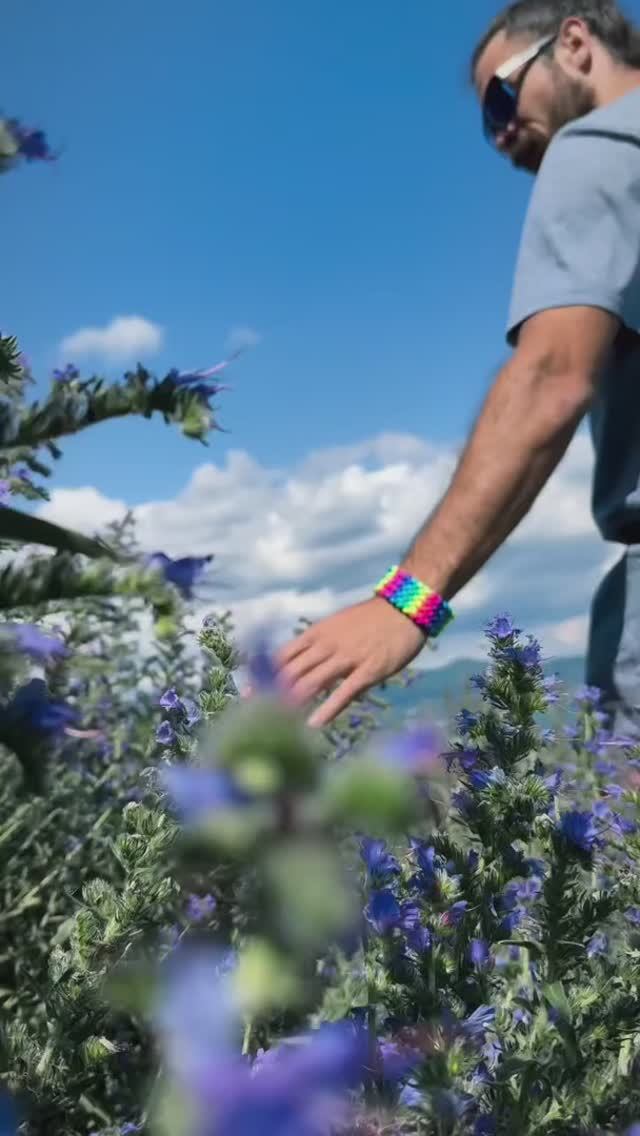 Лето у моря: тропинка, горы и замедленное дыхание свободы