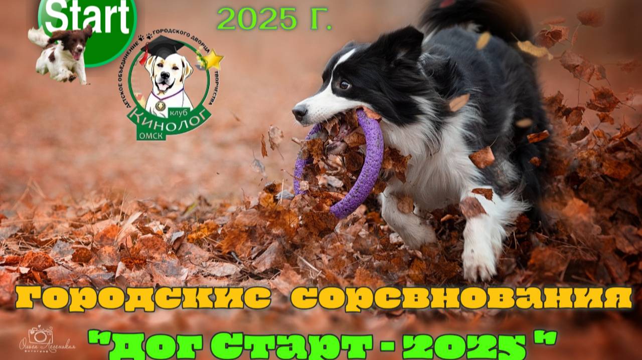Городские соревнования "ДогСтарт-2025"