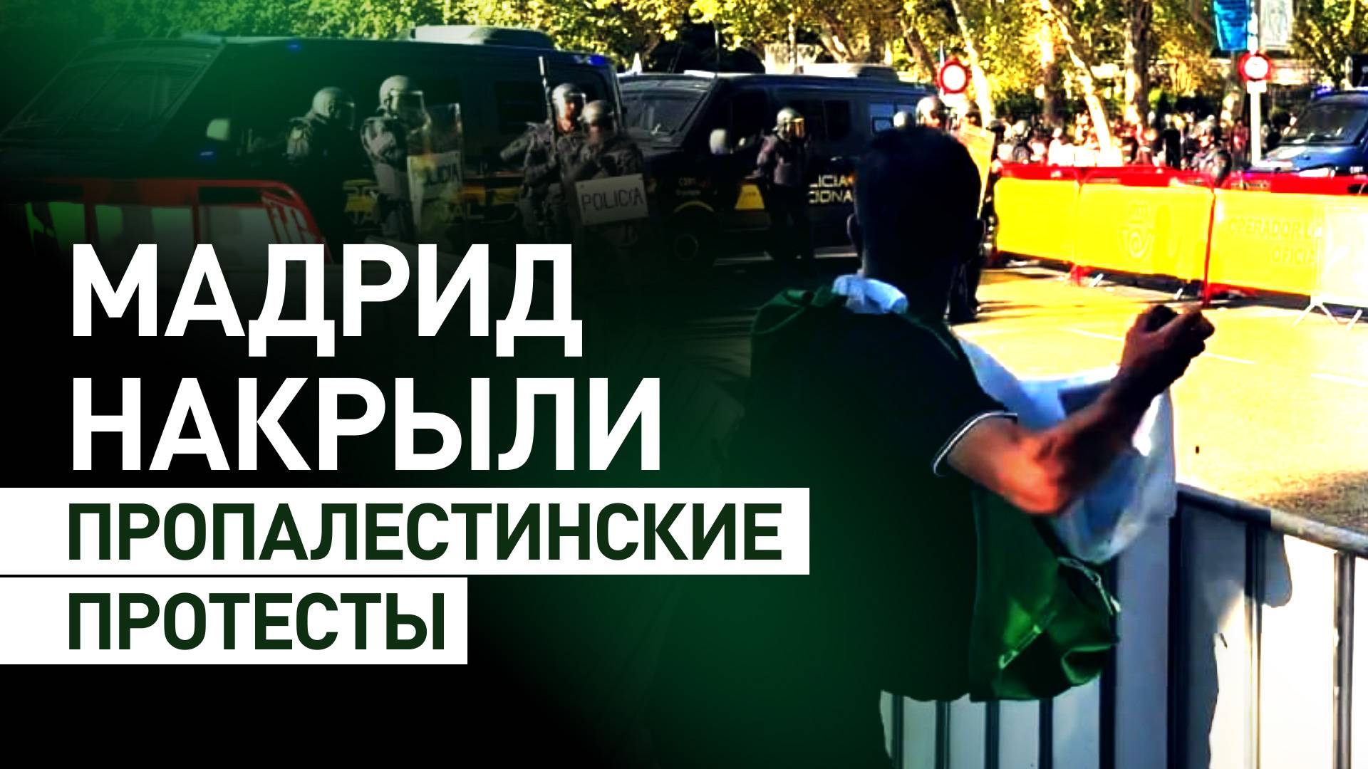 «Это не война, это геноцид!»: в Мадриде прошли пропалестинские протесты