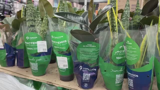 🚦СВЕТОФОР🚦ЗАСТРЯЛА СРЕДИ РЯДОВ С ТОВАРАМИ 😅 🔥Мебель, ковры, бытовая химия,цветы,бытовая химия