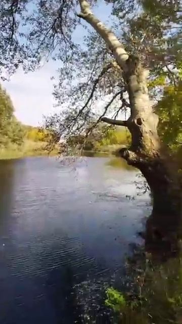 Минус красивых мест