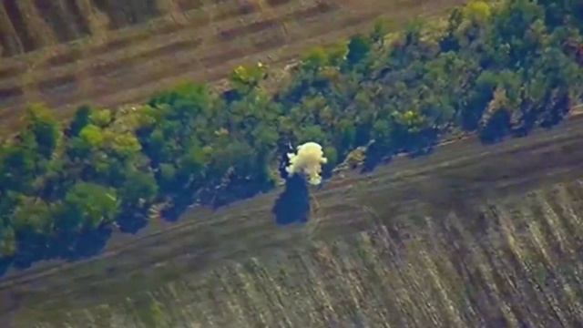 Карлсон, Малыш и Ко... 14 09 25