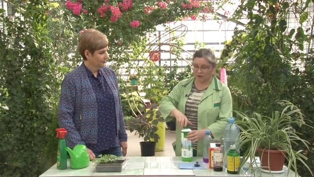 Болезни растений