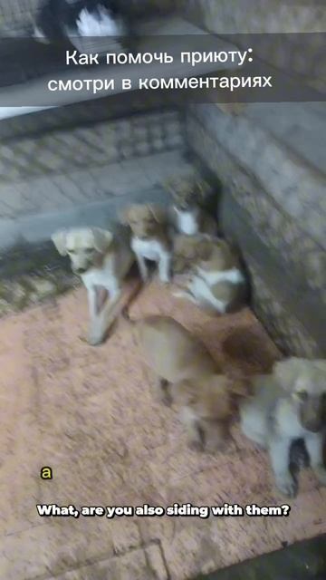 ХУЛИГАНЫ РАСТУТ