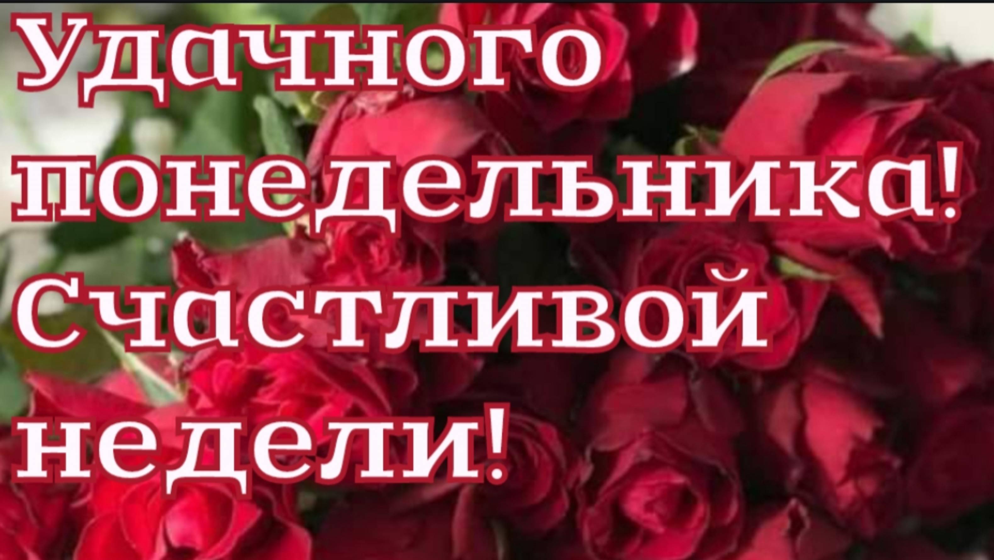 ДОБРОЕ УТРО ПОНЕДЕЛЬНИКА !