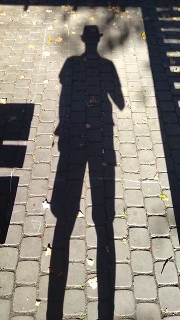 Тень прошедшего времени. . .