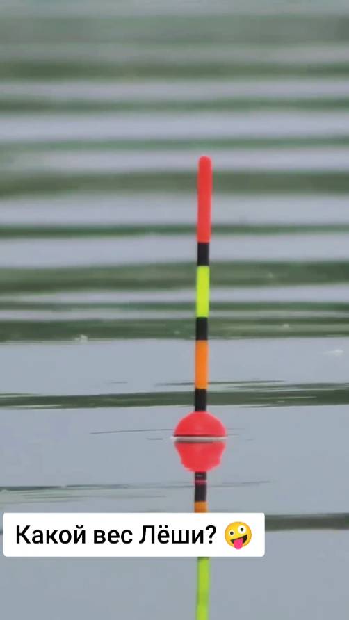 ОГРОМНАЯ РЫБА НА поплавок! Как думаете, какой вес? Рыбалка 2025