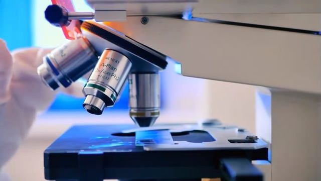 Биология. 5 класс 2 урок. Методы изучения биологии. Подготовка к ВПР, бесплатно.