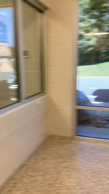 We adopted a cat from a shelter