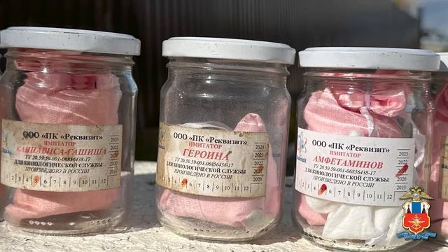 "Правда ли, что..." ВЫПУСК 6