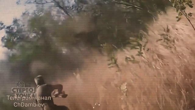 Дороги войны. 2025