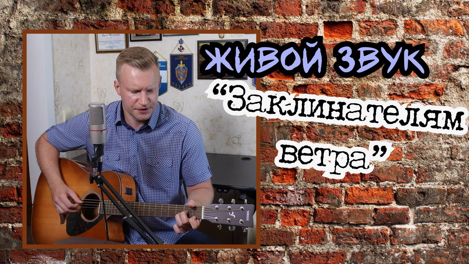 Сергей Тимошенко - Заклинателям ветра