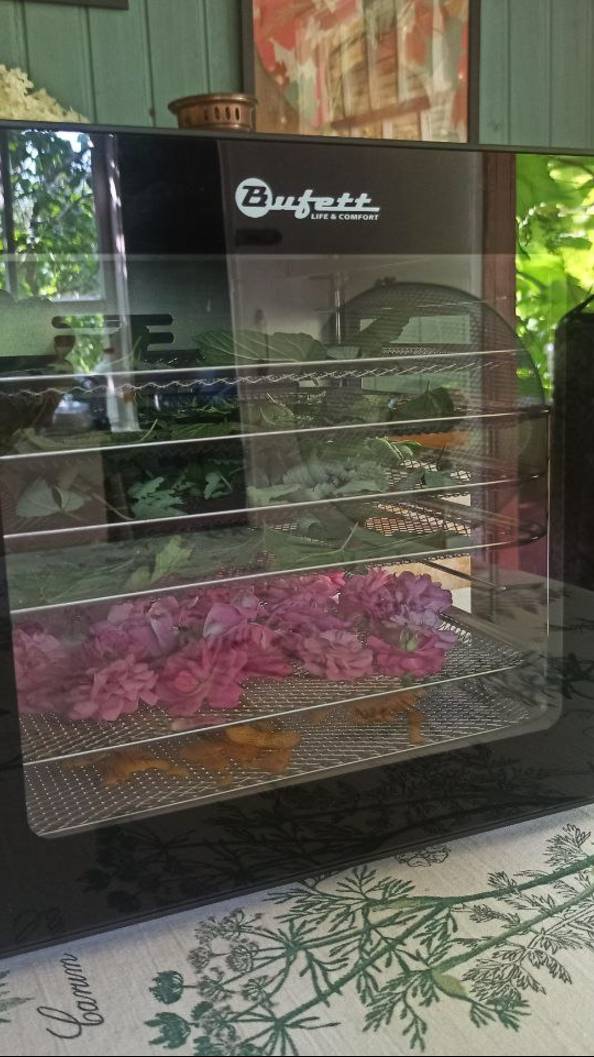 Дегидратор Bufett / Видеообзор Марии Суровой