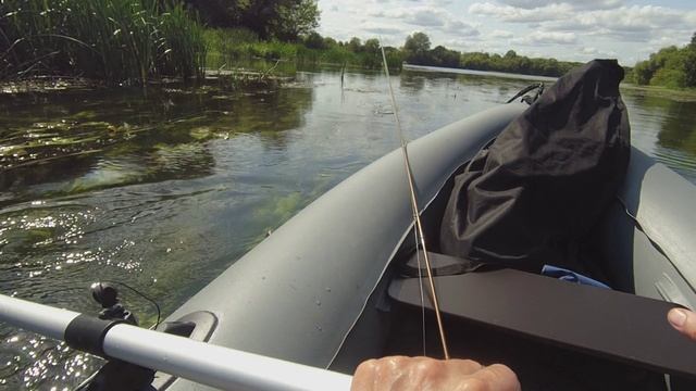 Дневная вылазка на голавлика