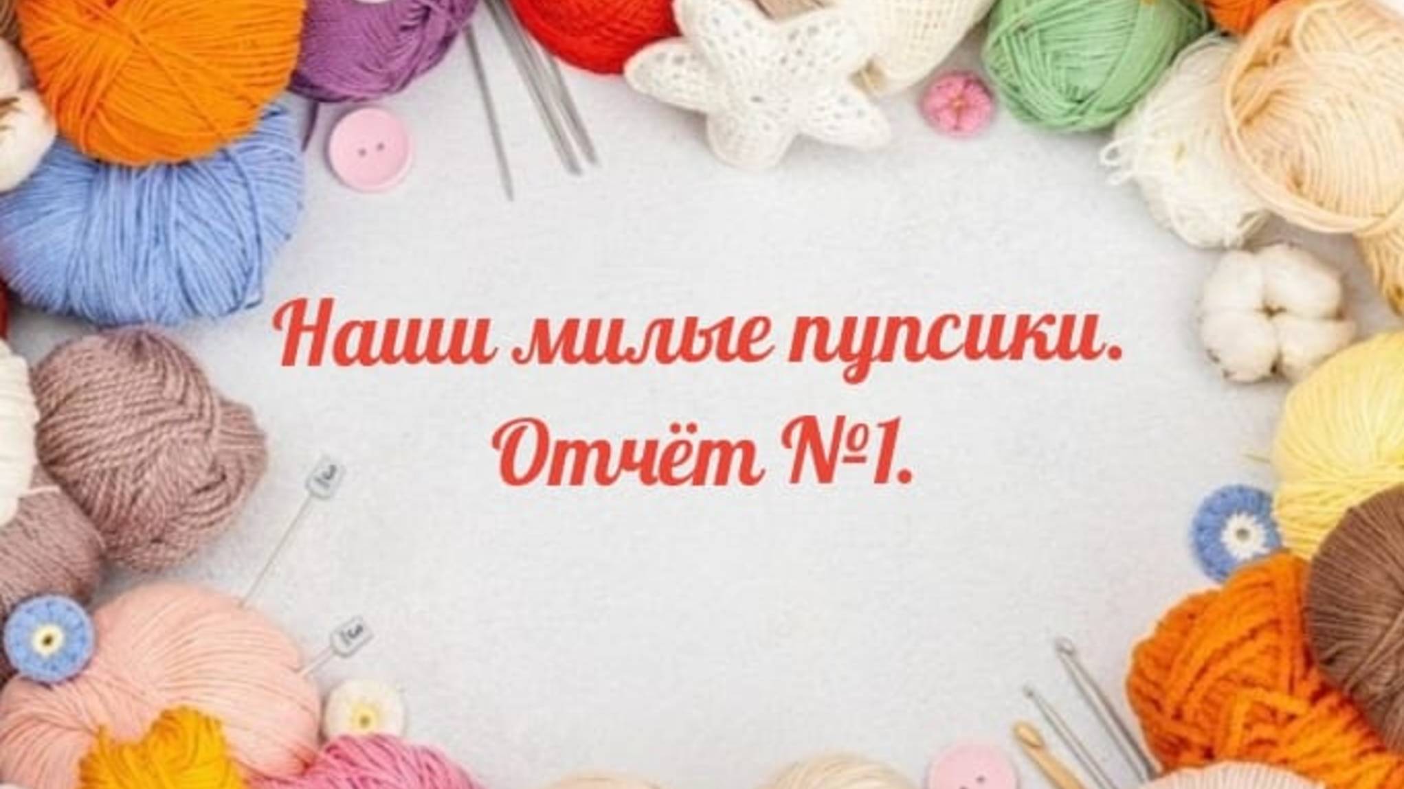 СП "Наши милые пупсики". Отчёт №1.