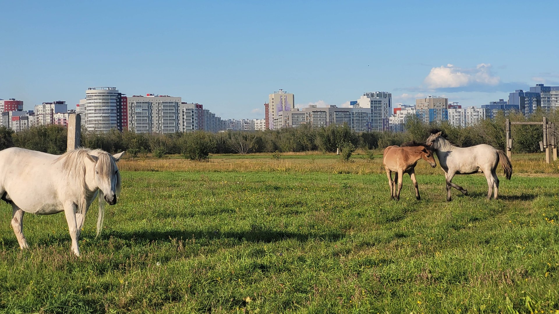Стенограмма Круглого стола: ИГИиПМНС - к 400-летию Якутска
