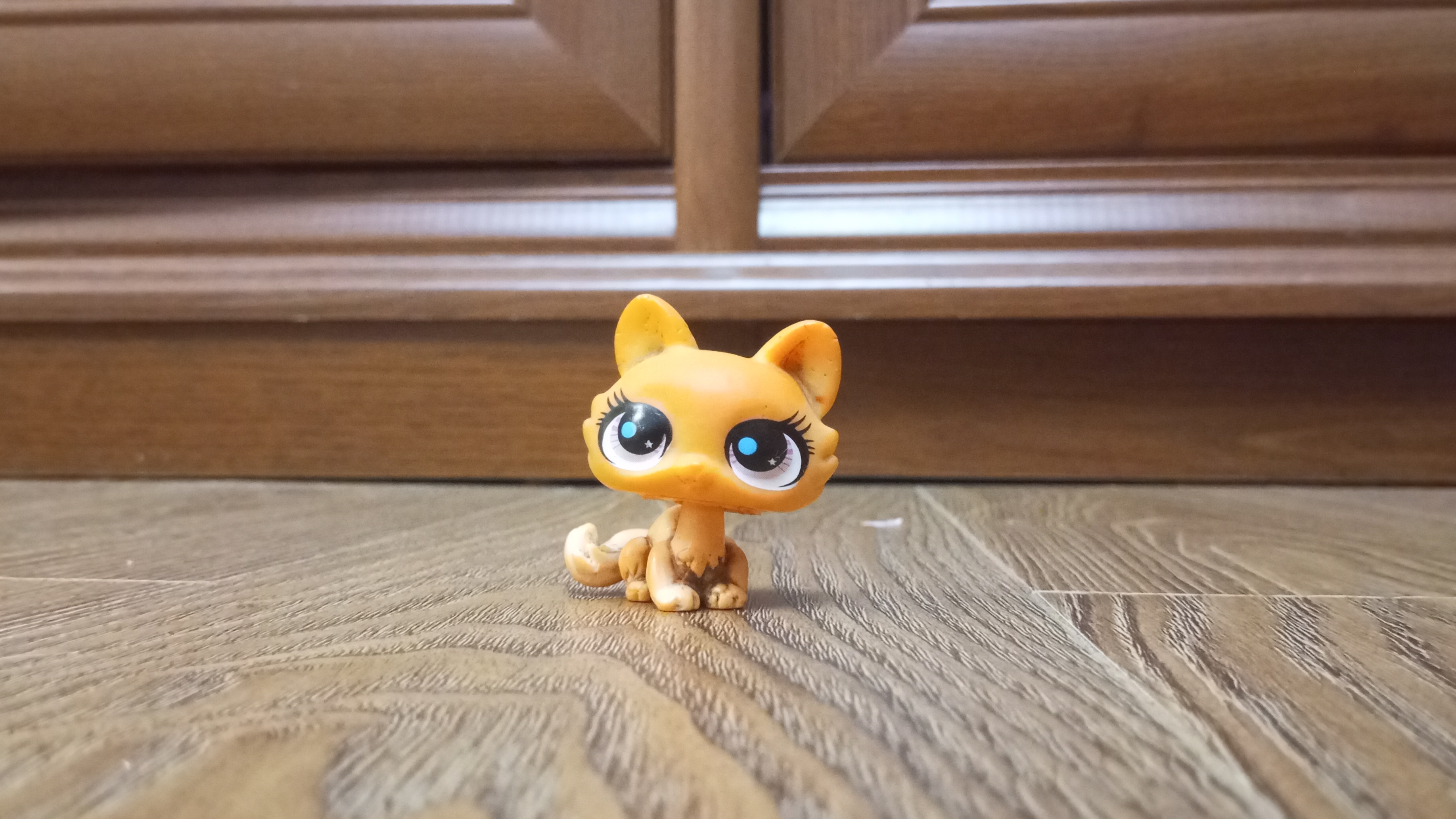 лпс школа история Рейчел