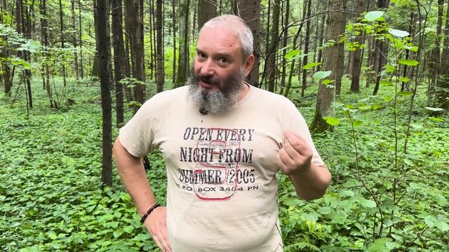 Клязьменский лесопарк. Грибы на деревьях. Опята летние и ложные, трутовики, чага. Михаил Вишневский