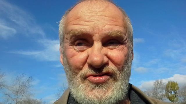 Сторожевая собака