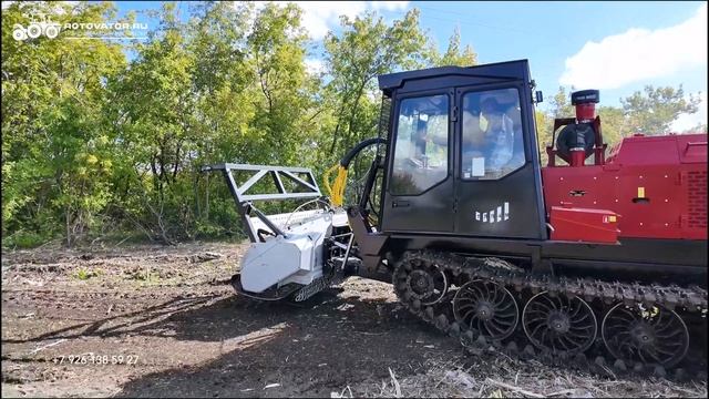 Первая женщина в лесу, которая занимается делом