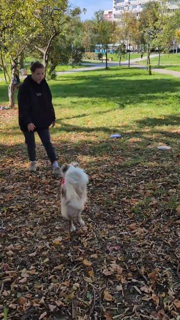 БК Рокси - флипы правый и левый, флиповый каскад