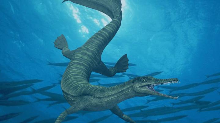 Развивающее видео "Лучик света." Динозавры. Кто такой мезозавр?