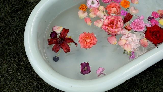 4863100-hd_1920_1080_30fps