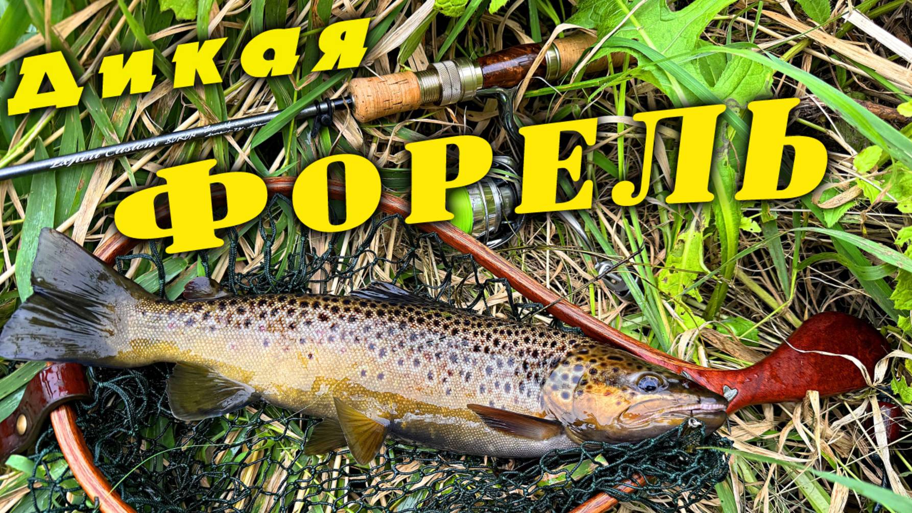 Форель и Хариус. Рыбалка в Ленинградской области. Сентябрь 2025.