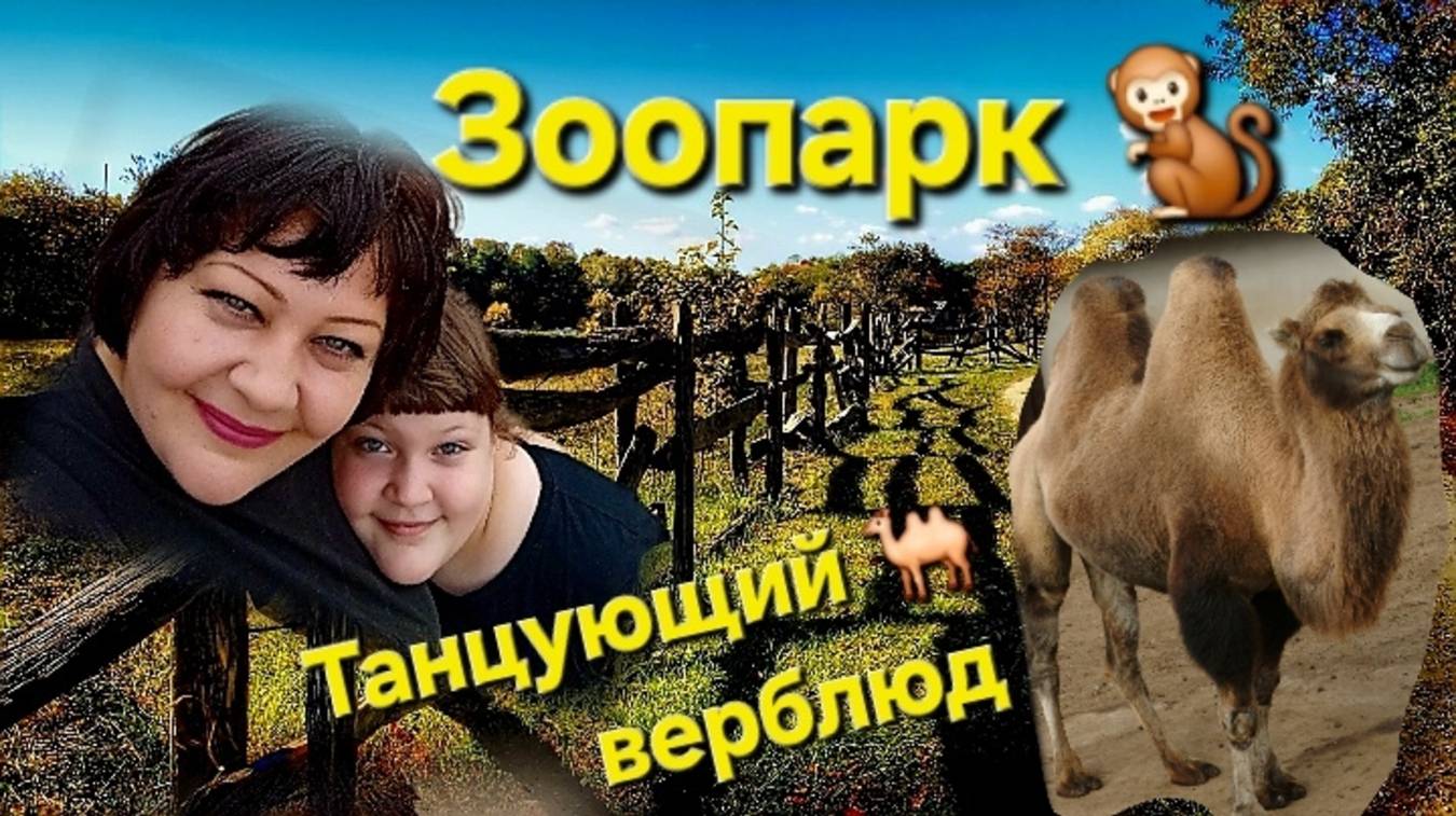 Зоопарк 🐫 танцующий верблюд🤩 !!!.mp4