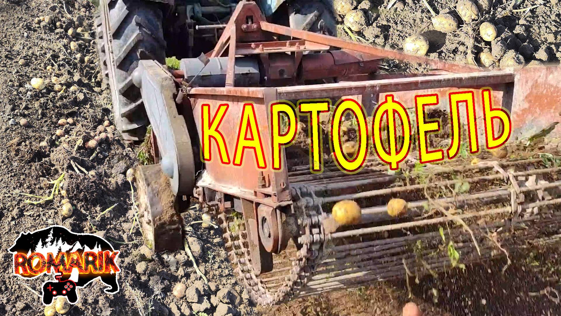 Помогаем родственникам: копка картофеля трактором Т-40АМ и сортировка урожая!