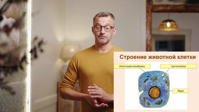 Биология. 5 класс 7 урок. Клетка – единица строения живых организмов. ВПР, бесплатно.