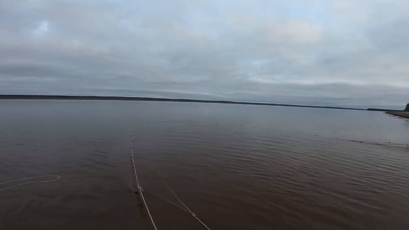 Рыбалка неводом. Ловля ряпушки на зиму.