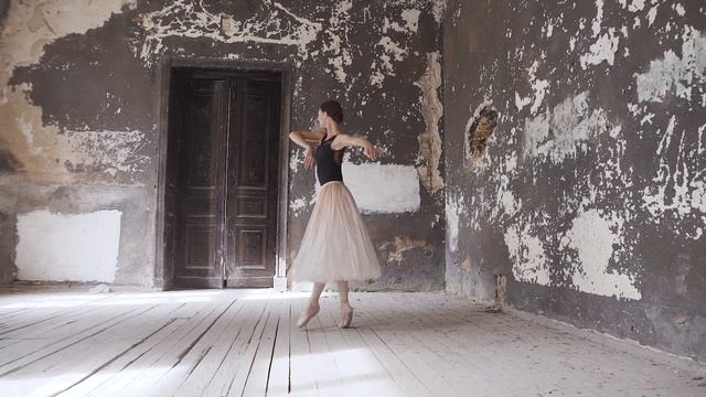 4990439-hd_1920_1080_30fps