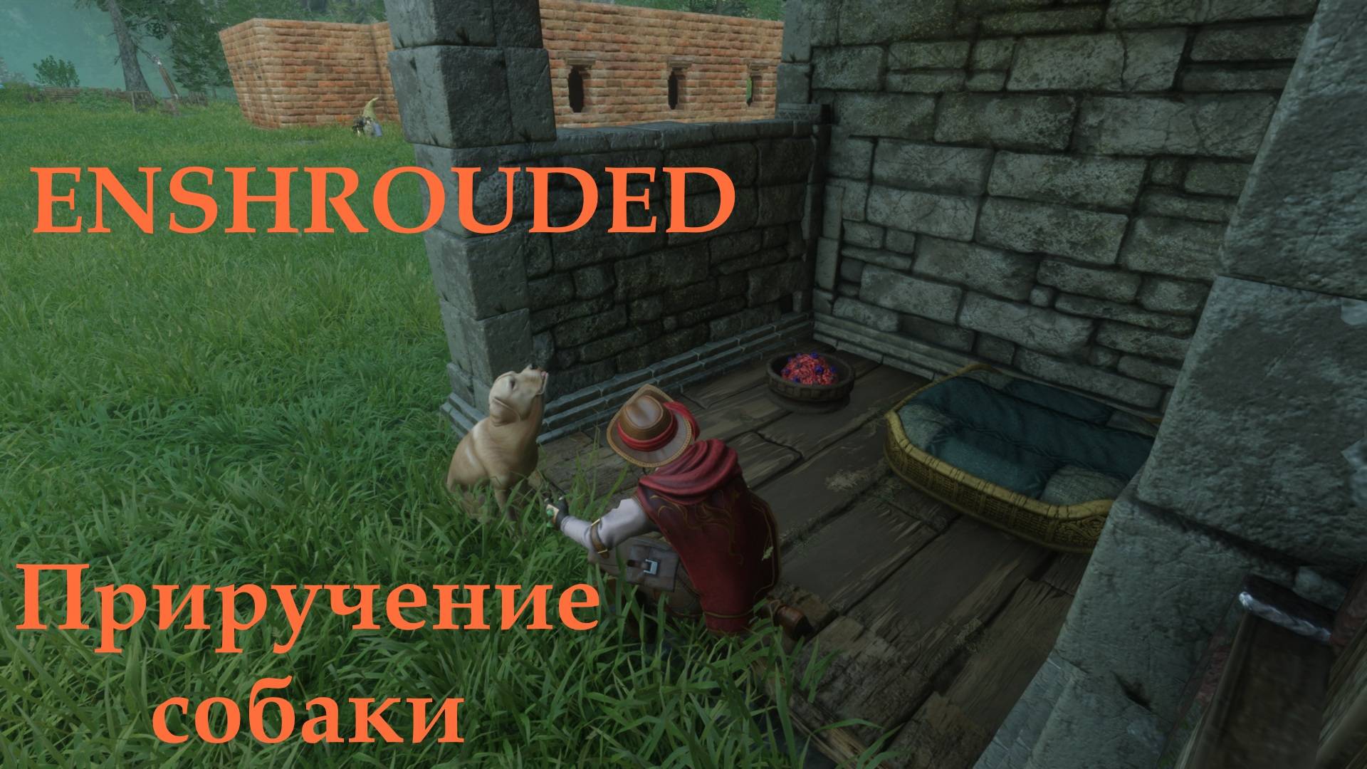 Enshrouded // Поиск собаки - Приручение собаки