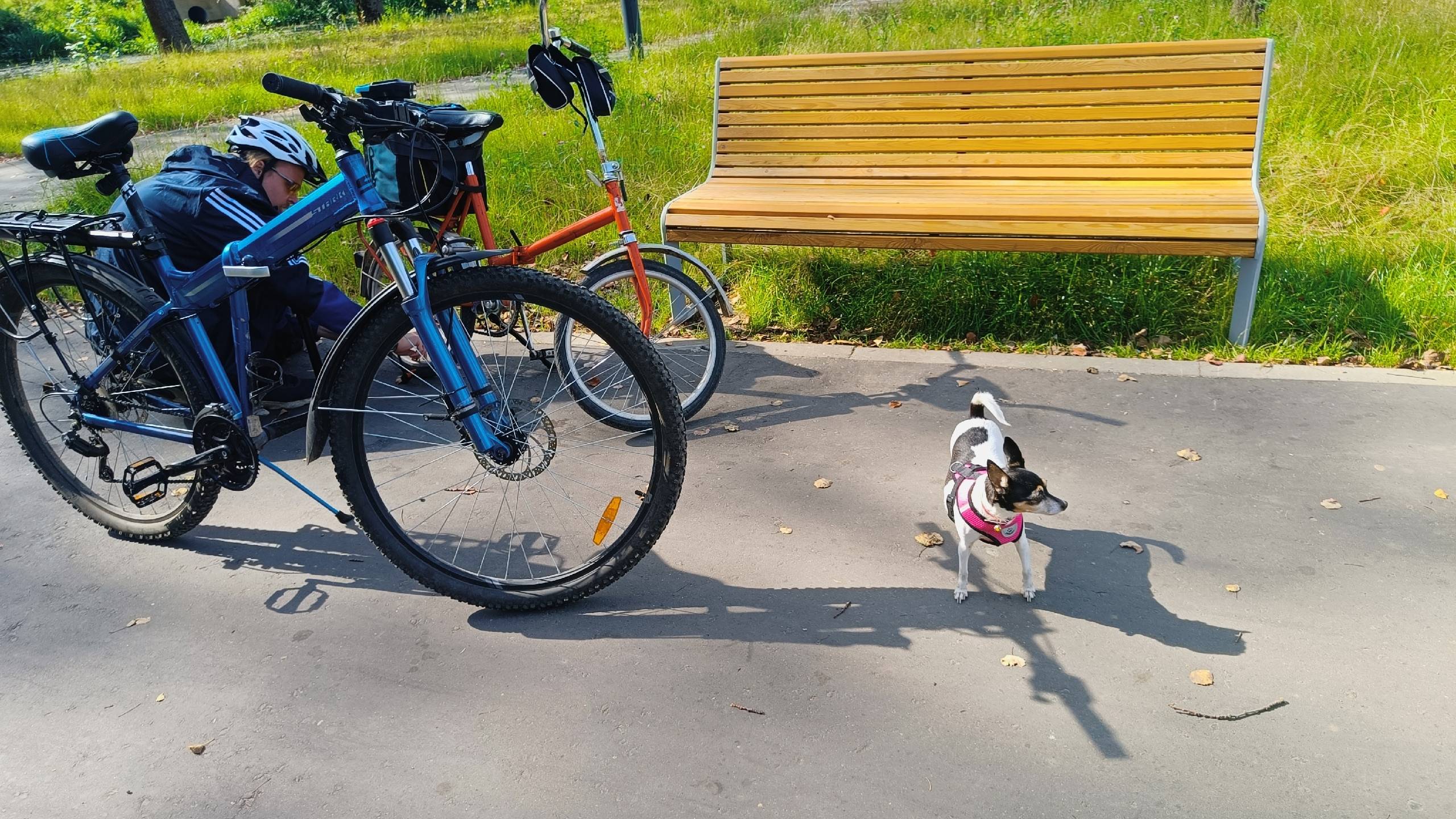 Велопрогулка закончилась пешей прогулкой