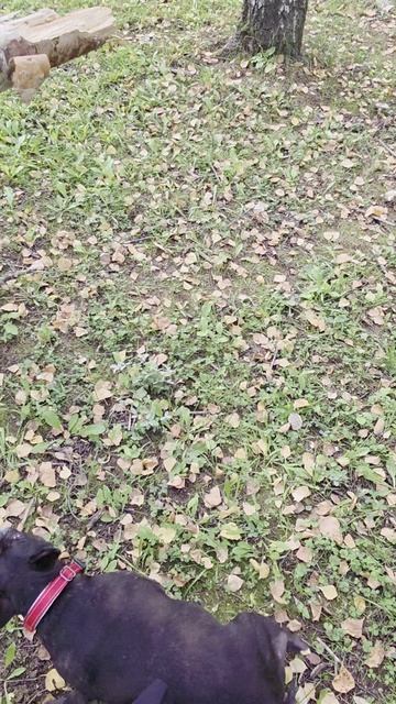 Вспомнили молодость 😄