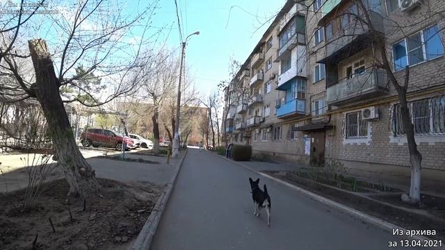 Встречаем Людочку в обед и вечером. Из архива за 13.04.2021.