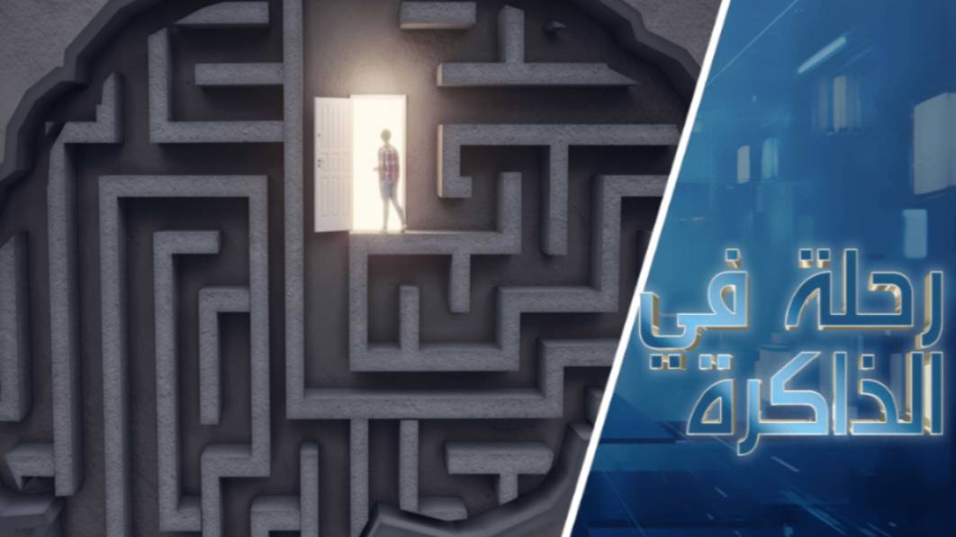 الإنسان بين الحتمية والاختيار أو مدخل إلى مفهوم حرية الإرادة