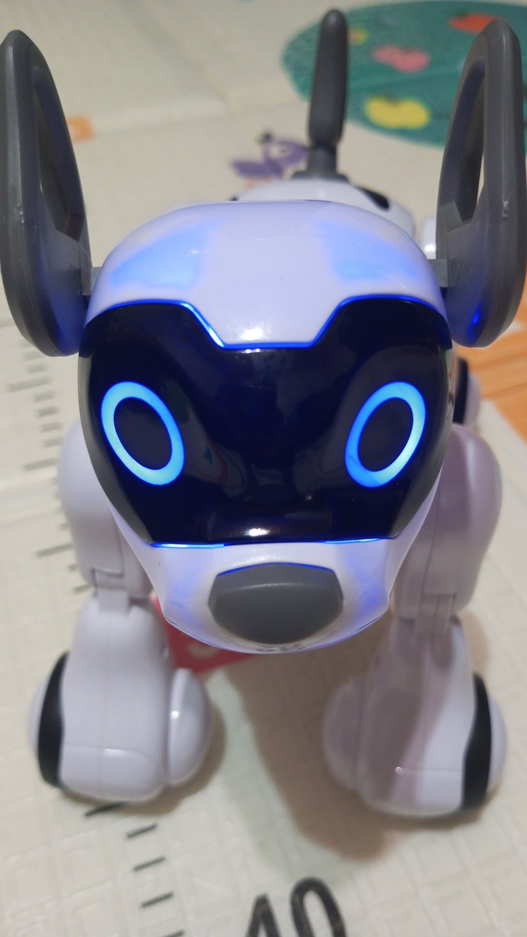 Робот собака