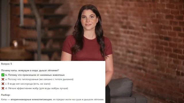 Биология 5 класс. Урок 4. Тест 2. Среда обитания организмов. Подготовка к ВПР, бесплатно.