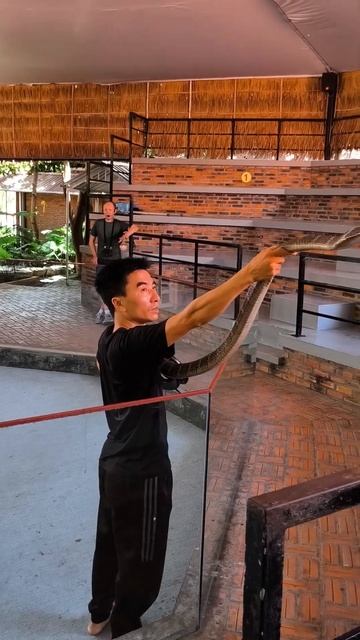 Нячанг. Змеиная ферма и Поцелуй с сиамской Коброй. Вьетнам за 72 тысячи рублей. @tutsi-dieti