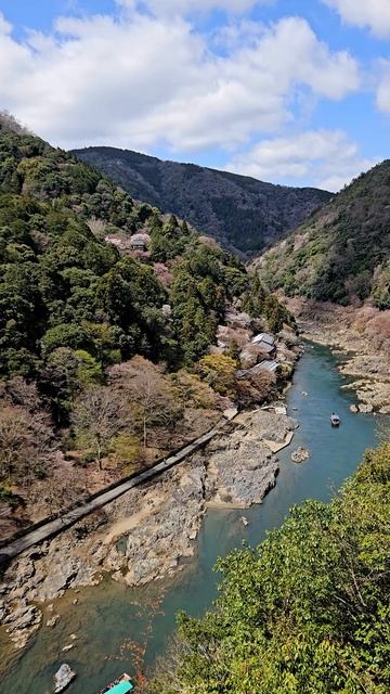 Весна на склонах Арасиямы, Киото, Япония