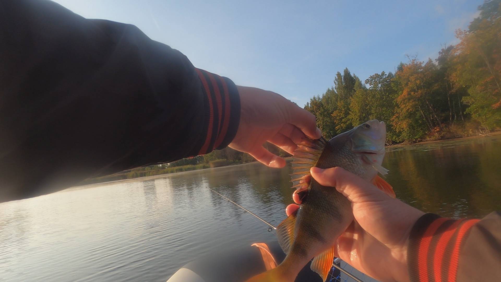ВЗЯЛ ЩУКУ И ХОРОШЕГО ОКУНЯ. РЫБАЛКА НА АТОМНОМ ОЗЕРЕ